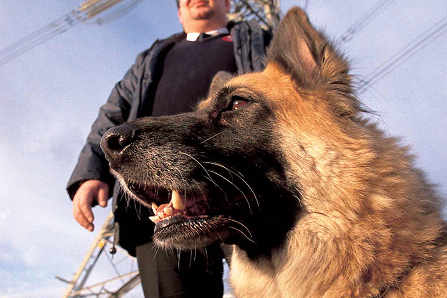 Kestrel Guards - Professional Security Company Across the South